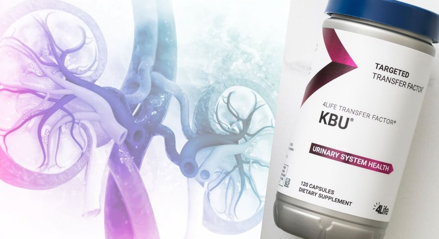 KBU 4LIFE TRANSFER FACTOR ¿PARA QUE SIRVE? – 4Life Mexico